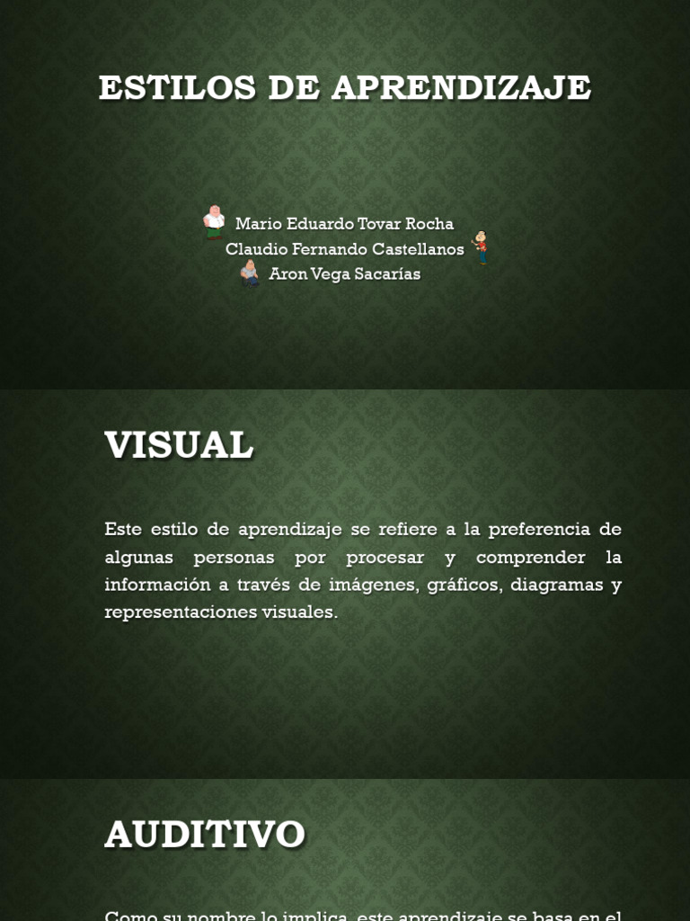 Estilos de Aprendizaje | PDF