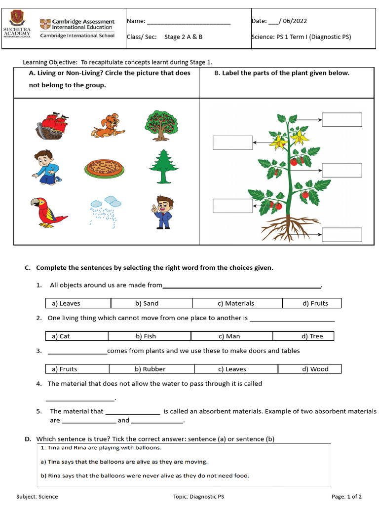 Stage 2 Science Diagnostic Assessment | PDF