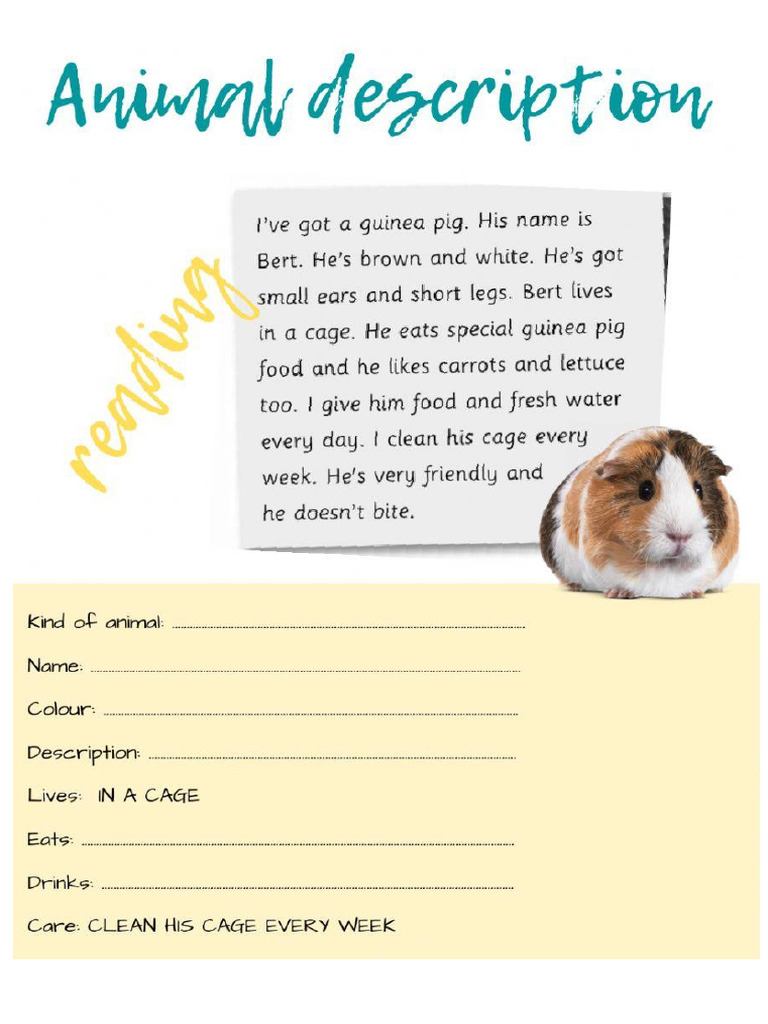 Cópia de Alícia Material | PDF