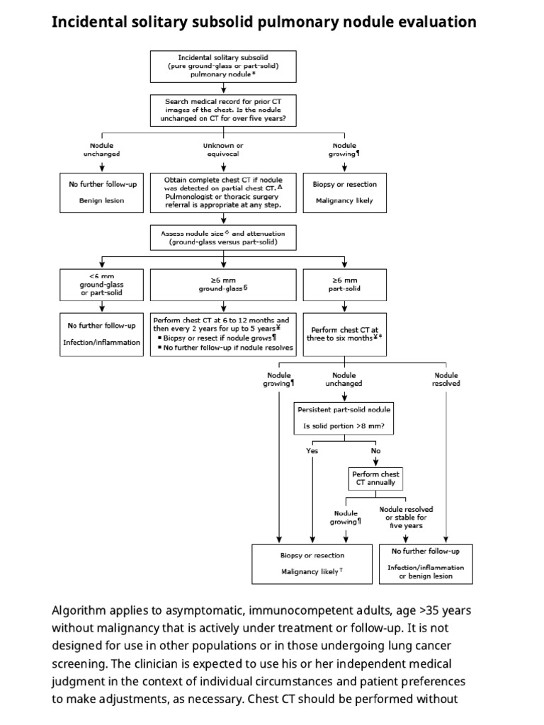 Subsolid Nodule Graph | PDF