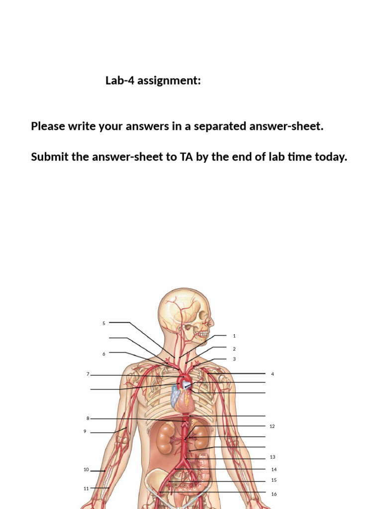 Lab-4 Assignment Submission Guide | PDF