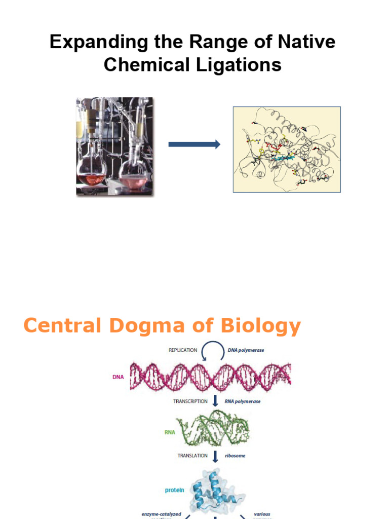 Native Chemical Ligation | PDF | Biological Engineering | Chemistry
