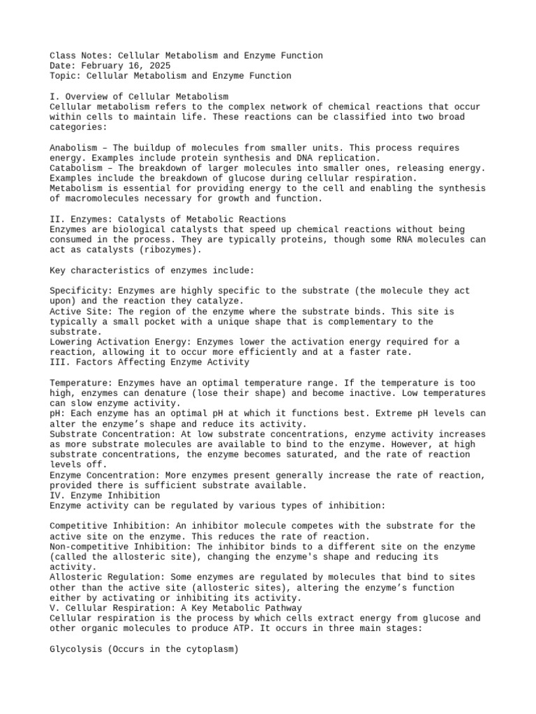 Class Notes Cellular Metabolism and Enzyme Function | PDF | Adenosine ...