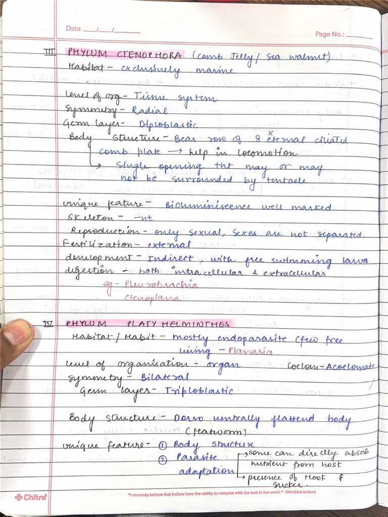 Frog and Cockroach | PDF