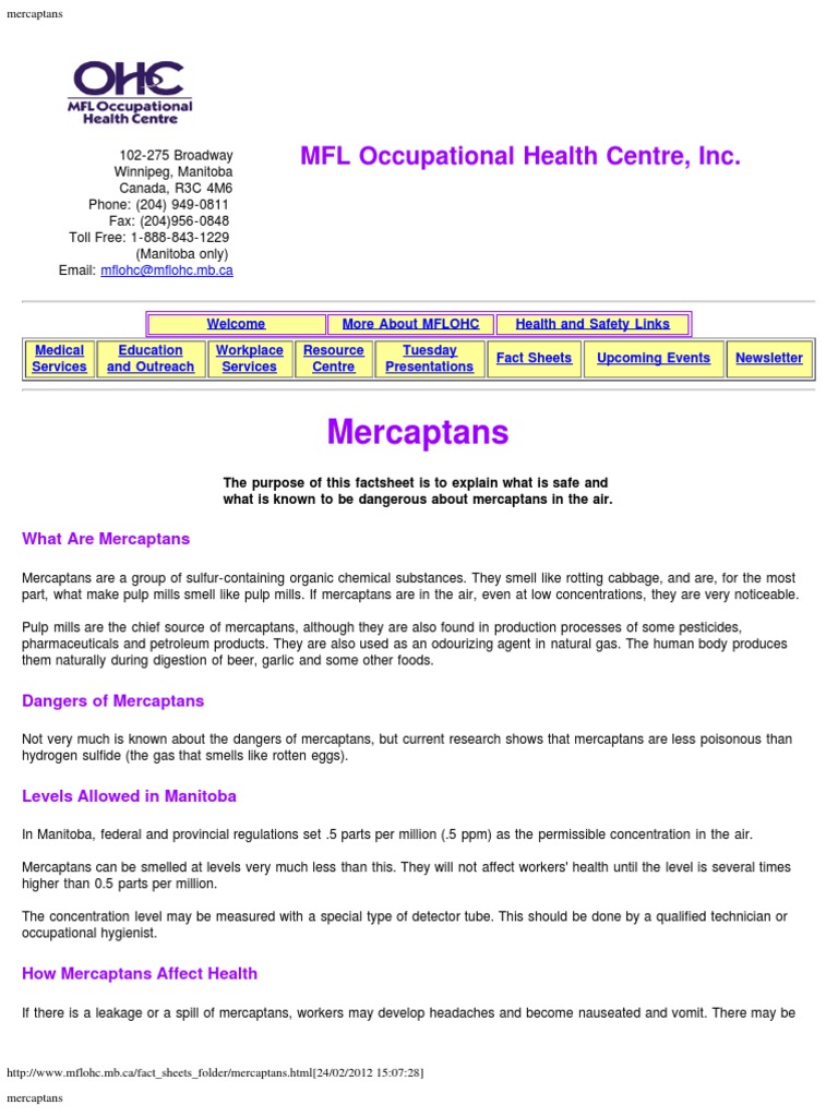 Understanding Mercaptans in the Workplace | PDF | Breathing | Air Pollution