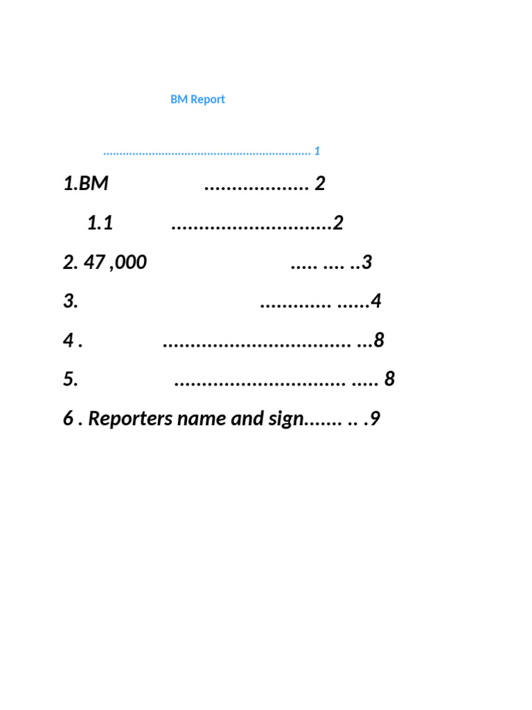 2 - BM Report | PDF