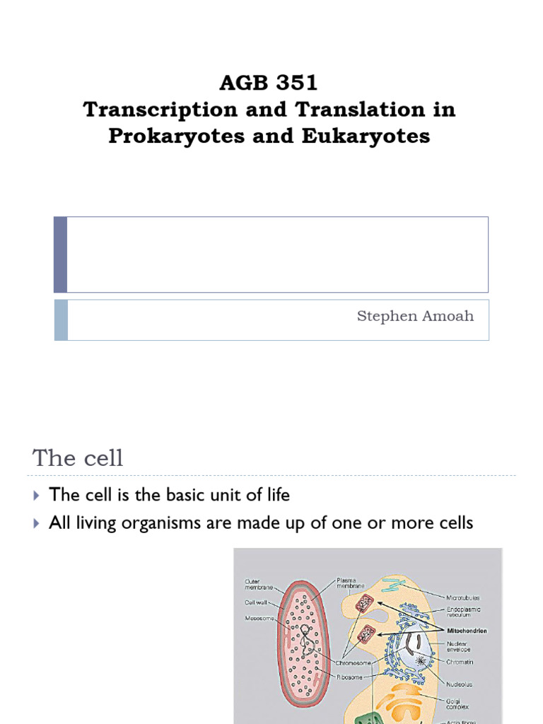 AGB 351 Introduction | PDF | Cell (Biology) | Rna