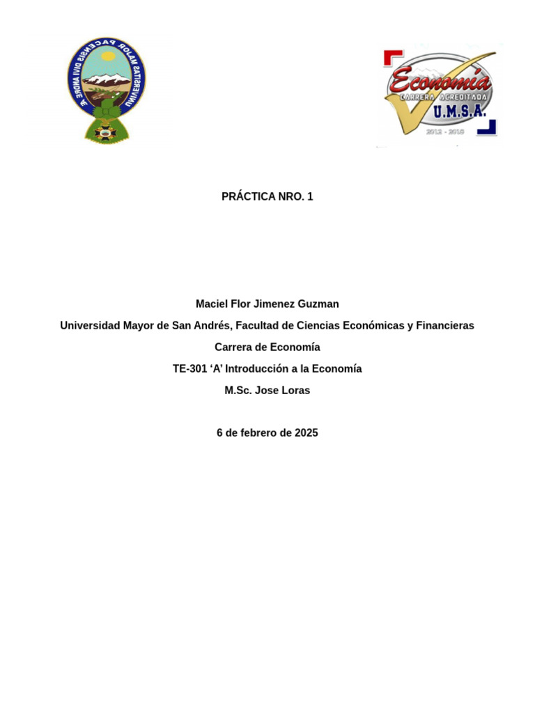 Práctica Nro. 1 | PDF