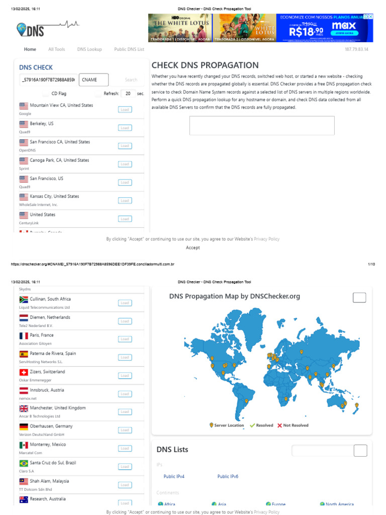 DNS Propagation Check Tool | PDF | Domain Name System | Domain Name