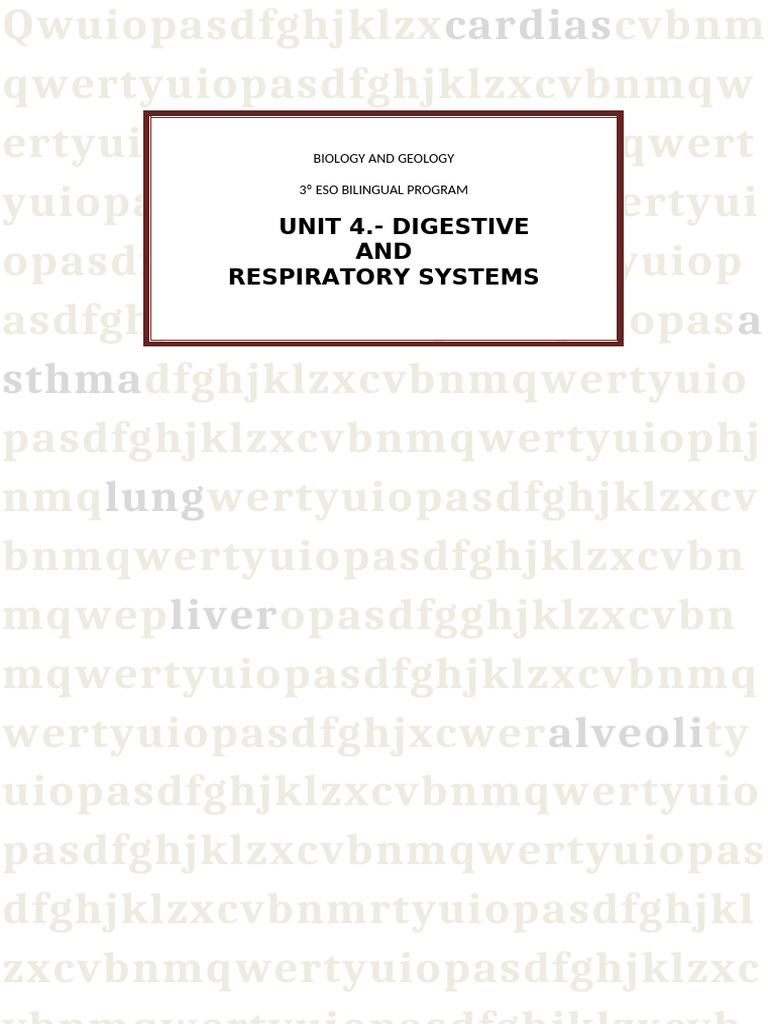Unit 4. - Digestive and Respiratory Systems-Notes | PDF | Lung | Digestion