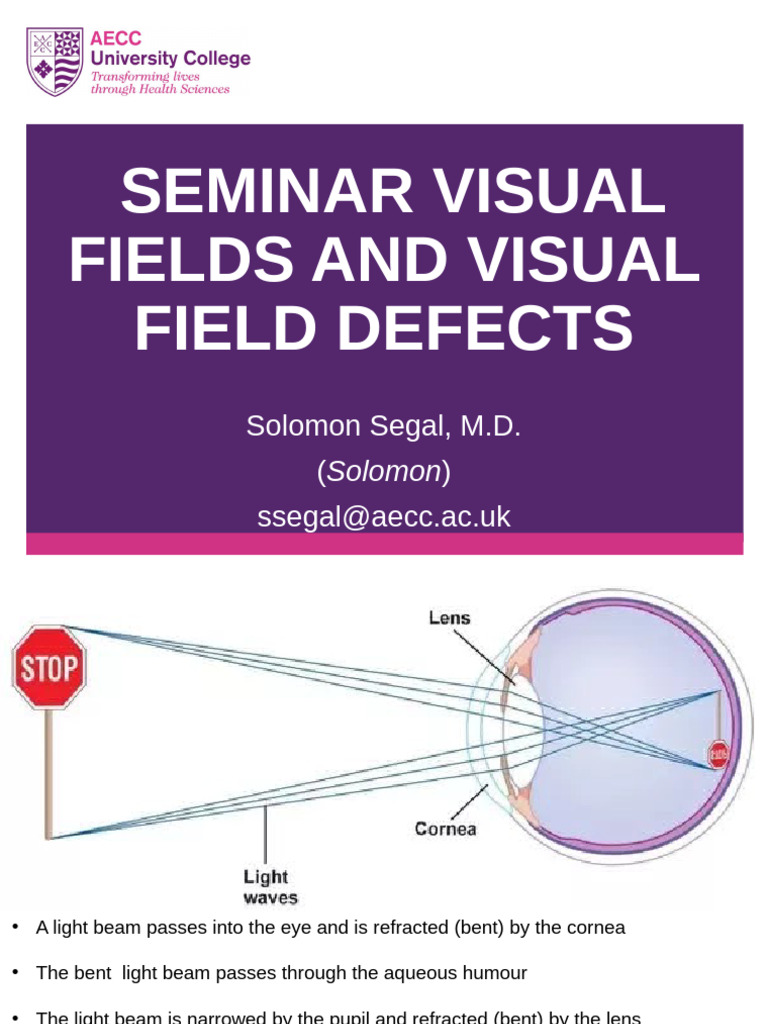 Seminar Visual Fields and Visual Field Defects | PDF | Eye | Nervous System