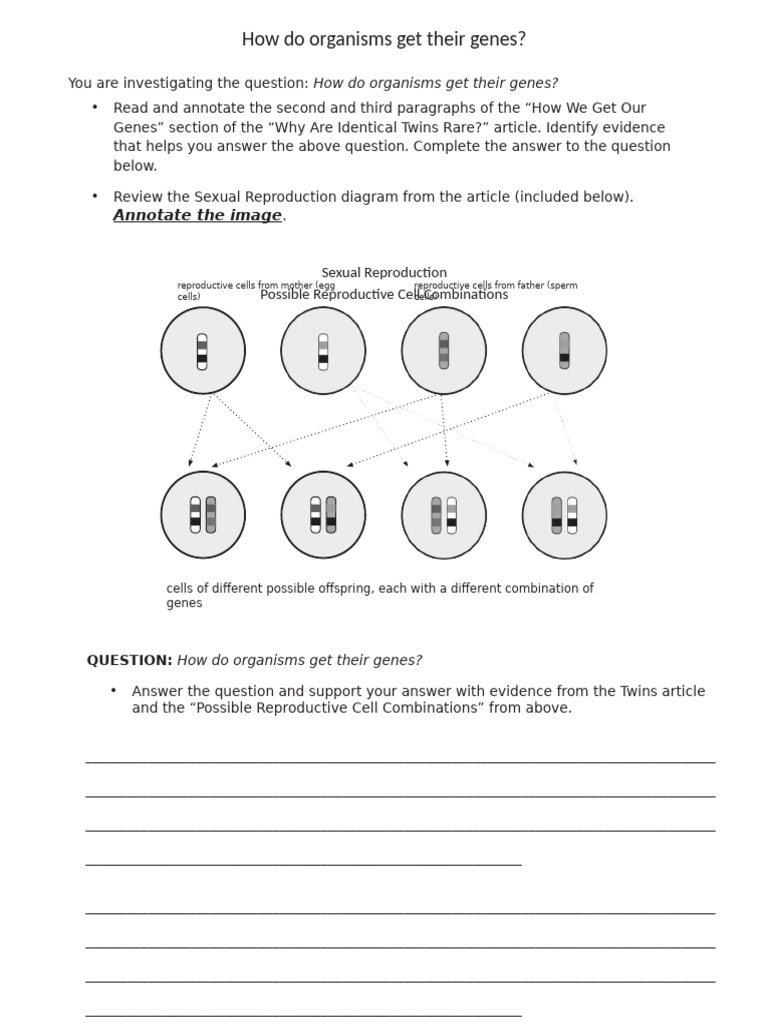 How Do Organisms Get Their Genes? | PDF | Sexual Reproduction ...