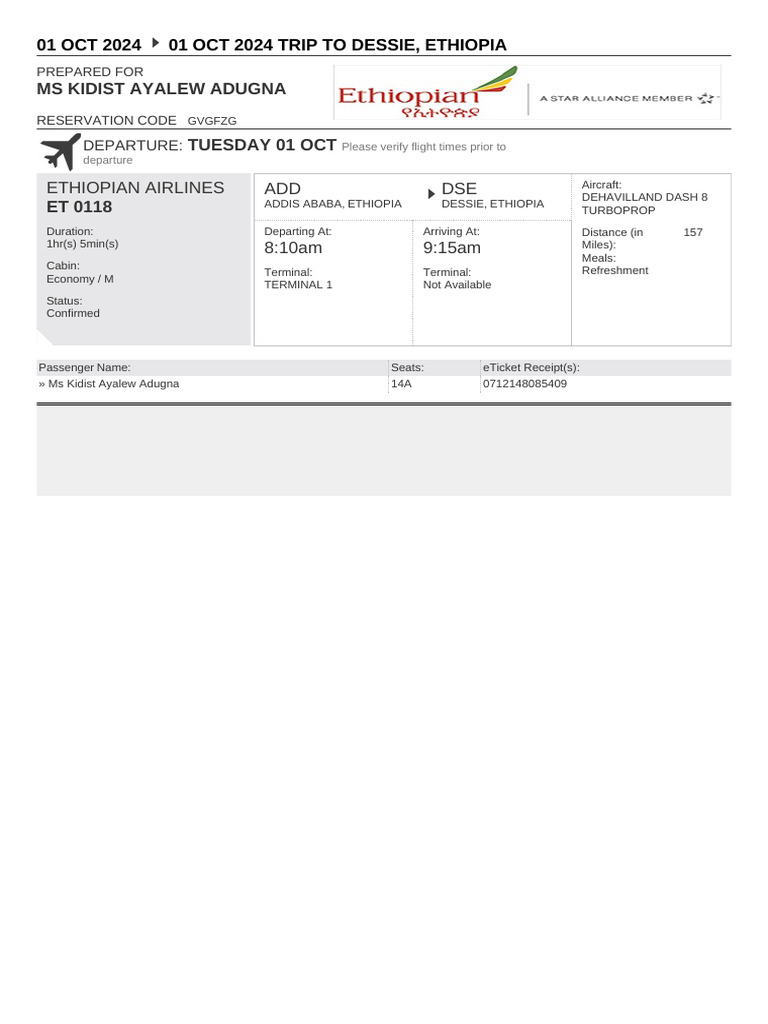 Kidist Ayalew's air ticket | PDF