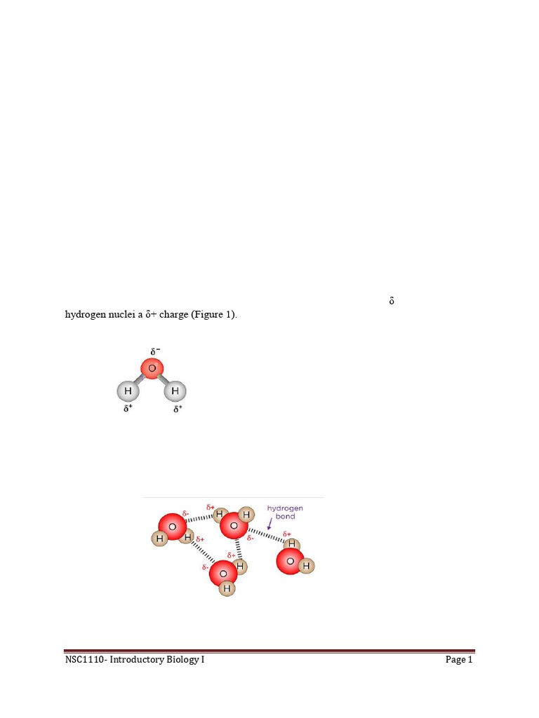 WATER_(notes)_(1) | PDF | Solvation | Properties Of Water