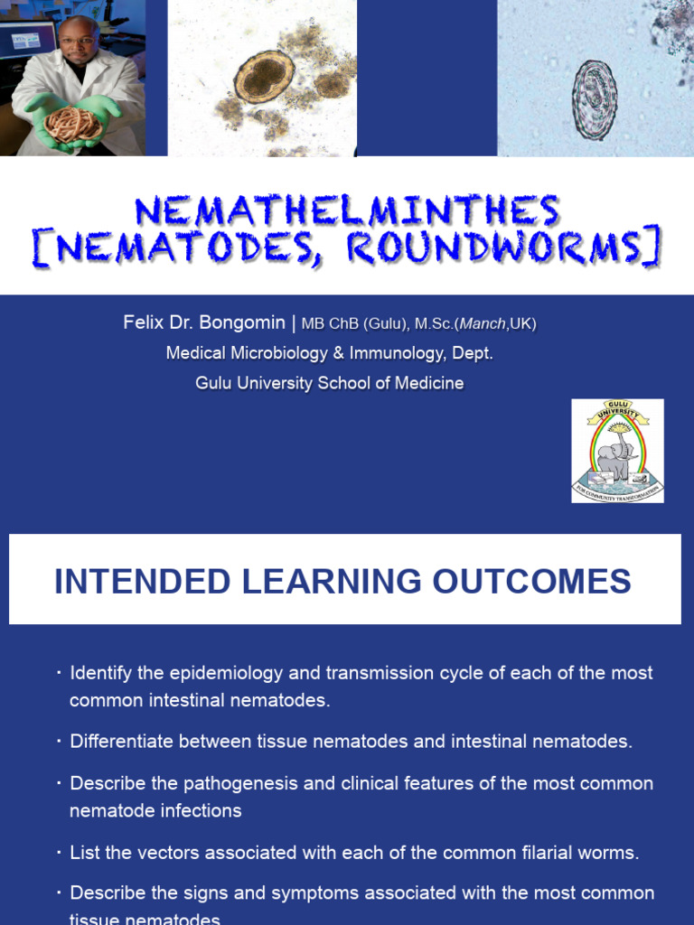 Overview of Nematodes and Infections | PDF | Nematode