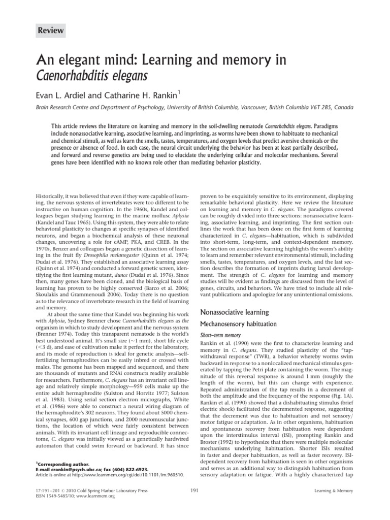 An Elegant Mind Learning and Memory in | PDF | Learning | Synapse
