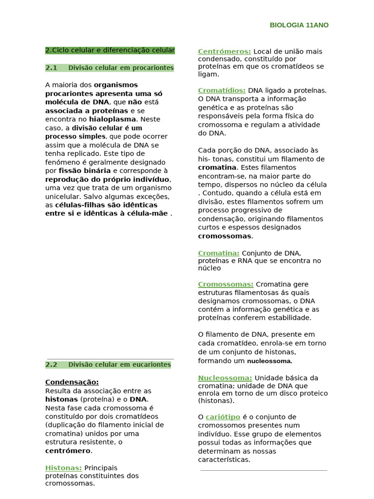 Ciclo e Divisão Celular em Organismos | PDF | Mitose | Célula (Biologia)
