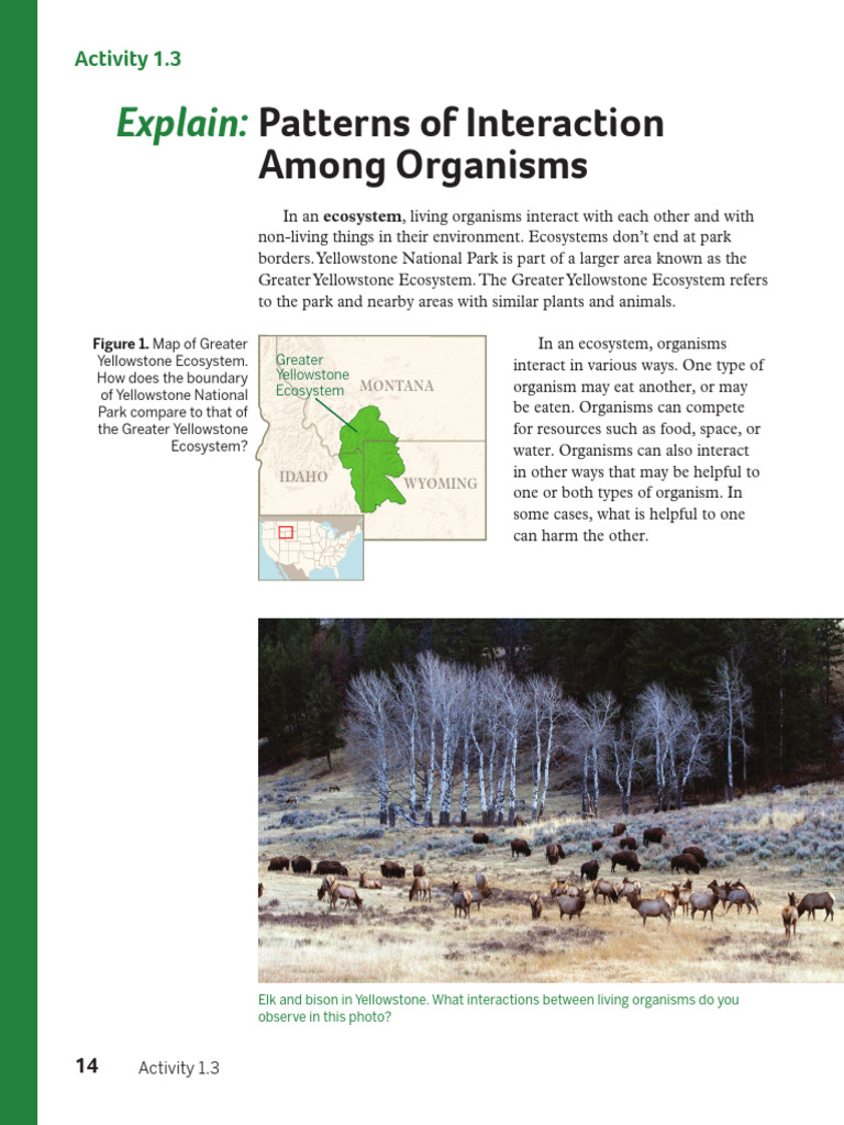 Organism Interaction Patterns in Ecosystems | PDF | Symbiosis | Predation