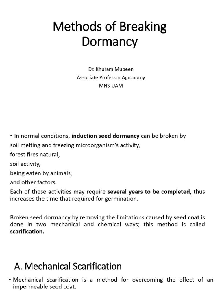 Techniques for Breaking Seed Dormancy | PDF | Seed