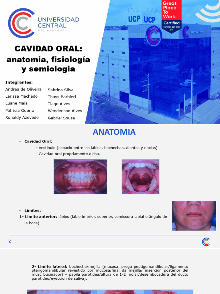 Anatomía y Fisiología de la Cavidad Oral | PDF | Esófago | Digestión
