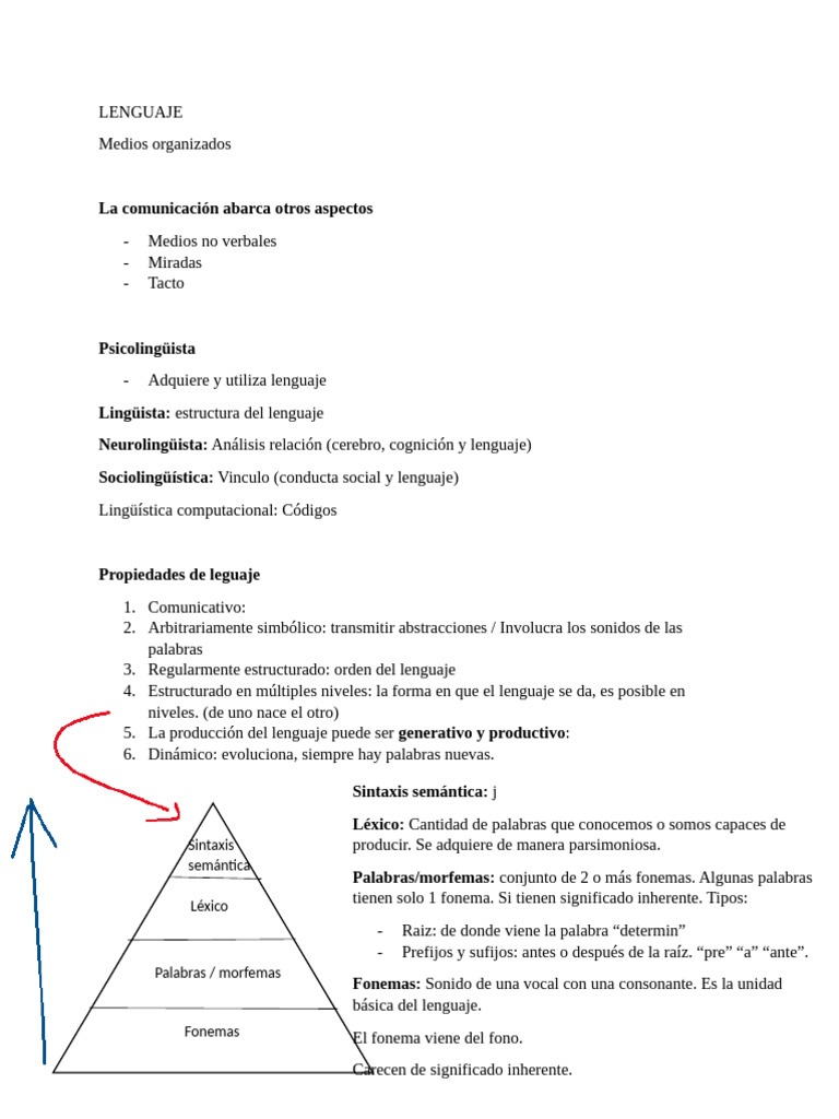 Propiedades y Estructura del Lenguaje | PDF