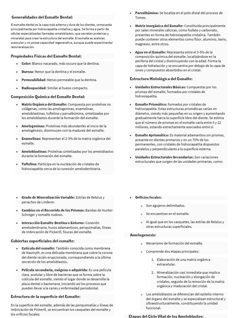 Generalidades Del Esmalte Dental Pdf Esmalte De Dientes Anatomía