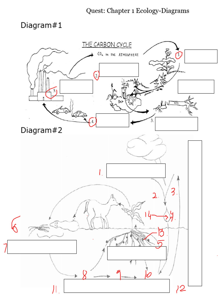 Chapter 1-Take Home Quest Diagrams | PDF
