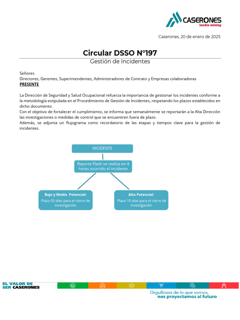 Circular DSSO #197 Gestión de Incidentes | PDF | Seguridad y salud ...