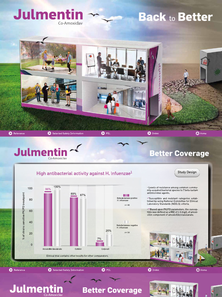 Julmentin Adult E Detalier (Low Resolution) 2 | PDF