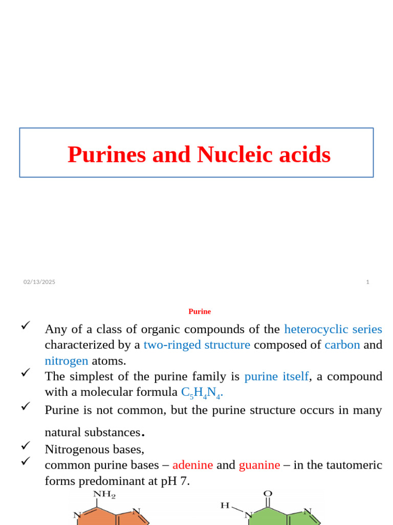 7 - Purines & Nucleic Acids | PDF | Nucleotides | Biochemistry