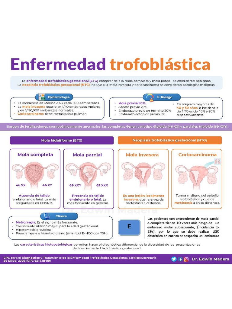 1 Actual Obste PDF | PDF