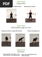 Upper Body Thera Band Exercise Program - Basic | PDF | Elbow | Arm