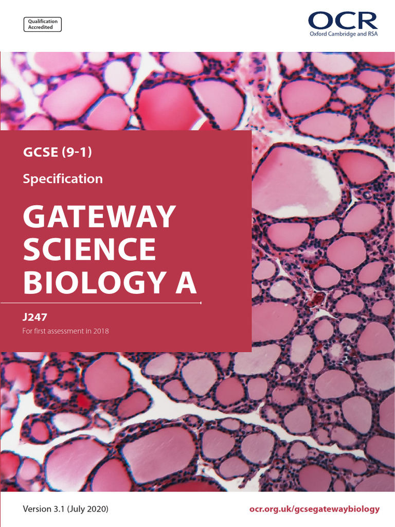 OCR GCSE 9-1 GATEWAY SCIENCE BIOLOGY A J247 Specification | PDF | Cell ...
