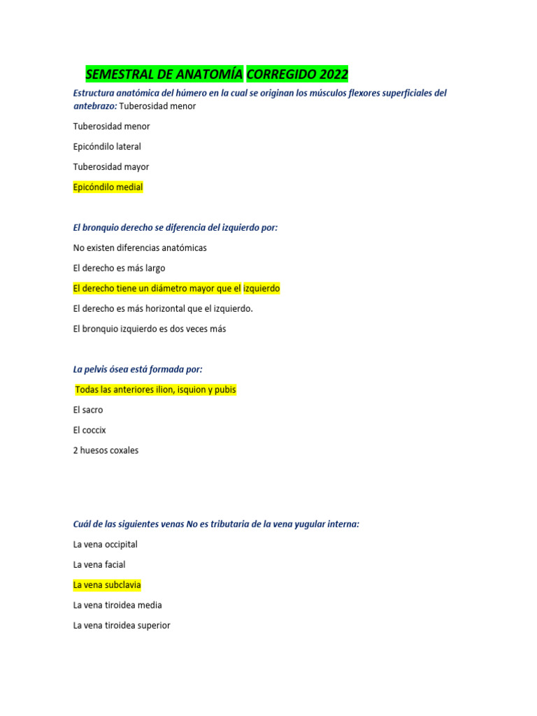 Semestrales Anatomia Pdf Abdomen Aorta