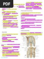 Anatomía de la Región Esternal | PDF | Sistema esquelético | Anatomía ...