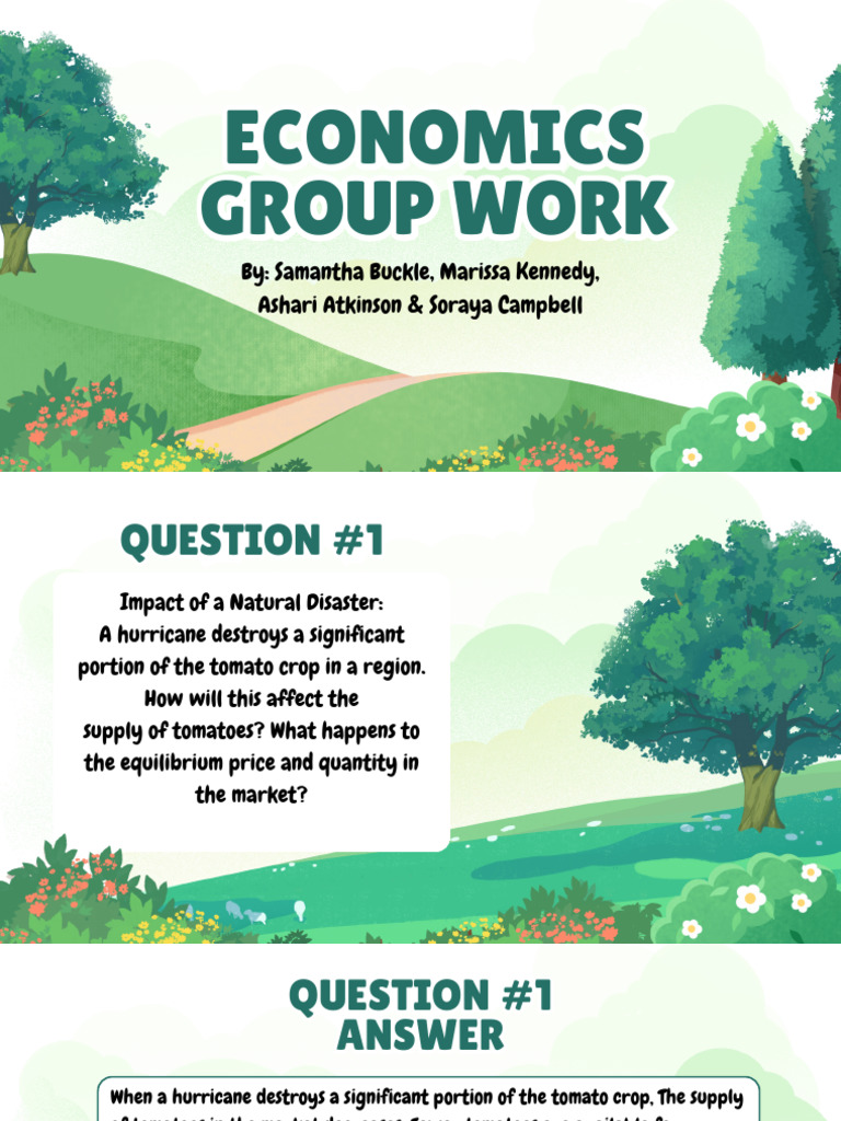 Economics Group Work | PDF | Prices | Demand