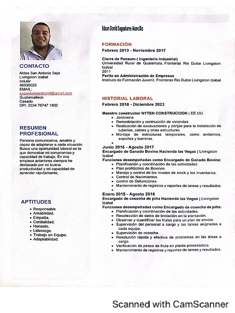 Currículum David | PDF