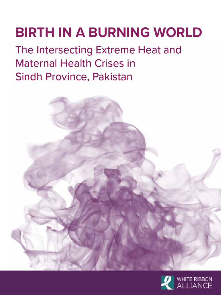 Extreme Heat's Impact on Maternal Health in Sindh | PDF | Climate ...