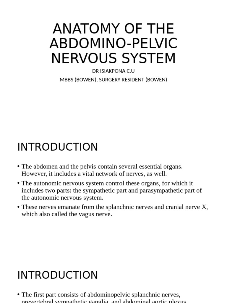 Anatomy of Abdomino-Pelvic Nervous System | PDF | Vagus Nerve ...