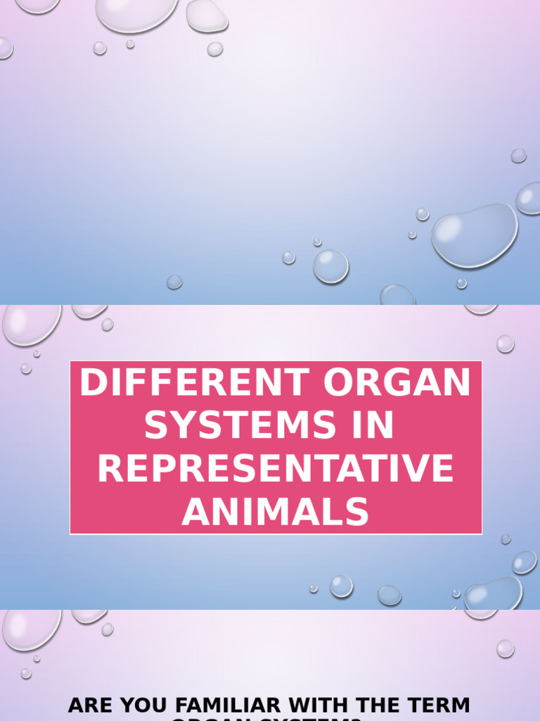 Different Organ System | PDF | Human Body | Muscle