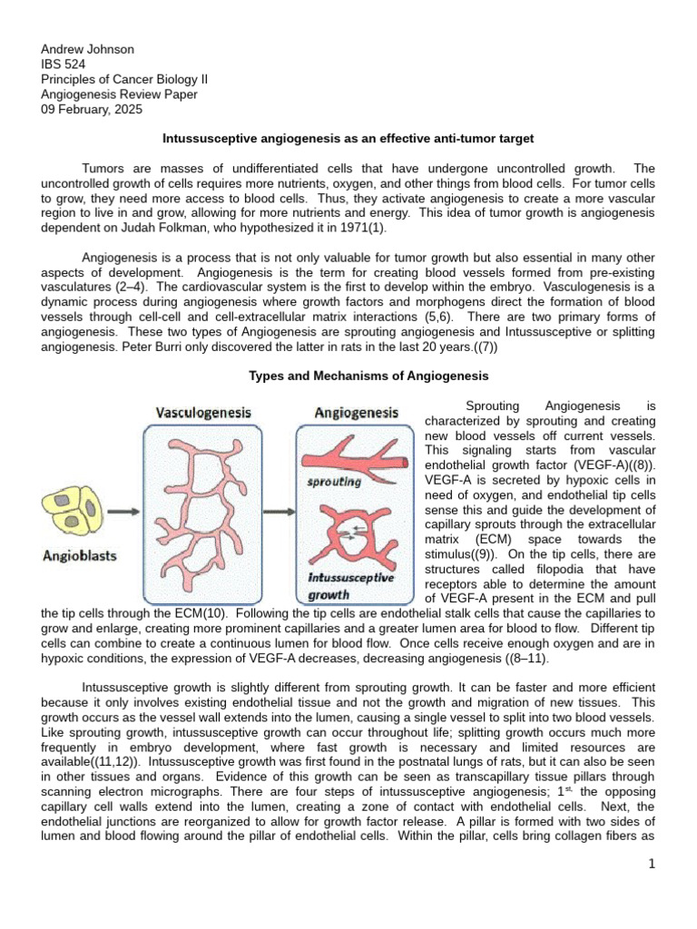 Angiogenesis Paper | PDF | Angiogenesis | Angiology