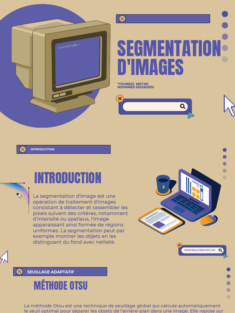 Segmentation d'Images par Seuillage Otsu | PDF | Segmentation d'image ...