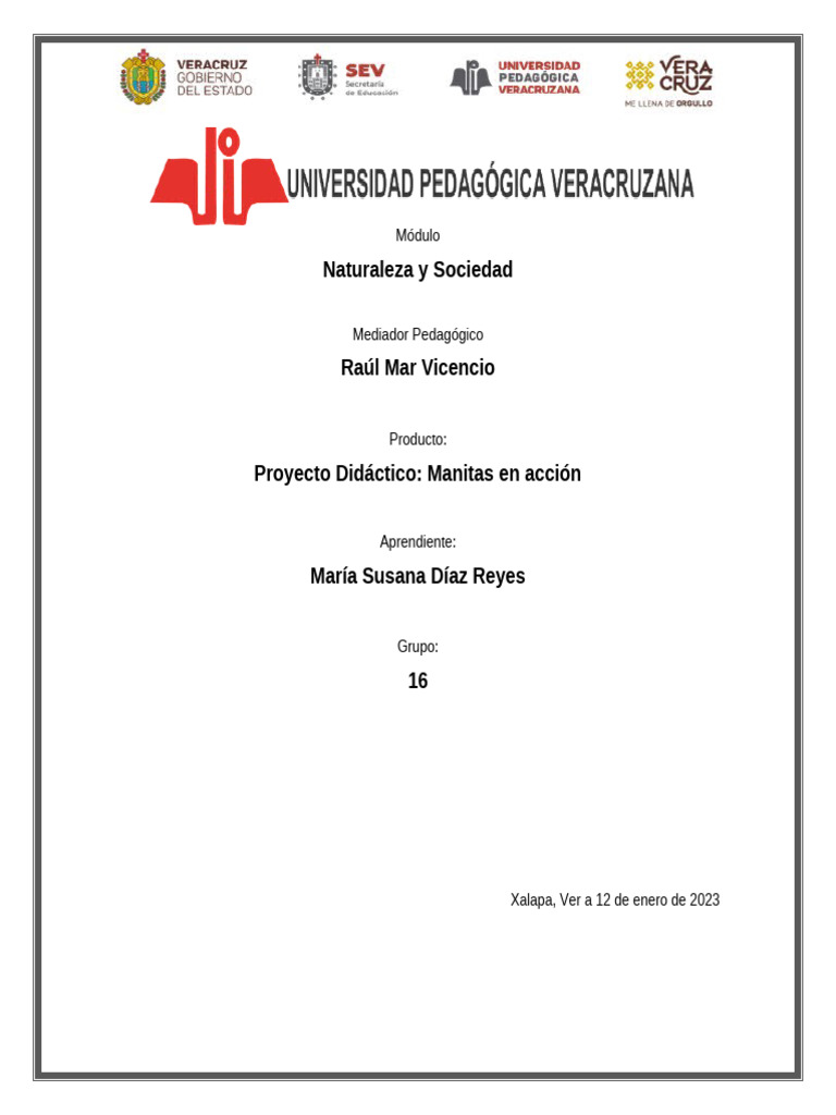 T7.maría Susana Díaz Reyes. Proyecto Didactico Manitas en Acción...... | PDF | Residuos ...