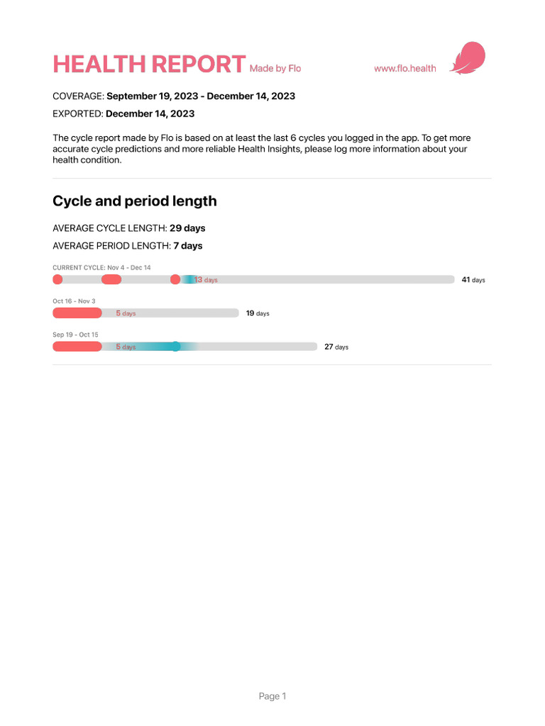 Flo Cycles Report | PDF