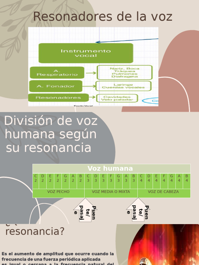 Resonadores Vocales: Guía Completa | PDF | Sonido | Vocal