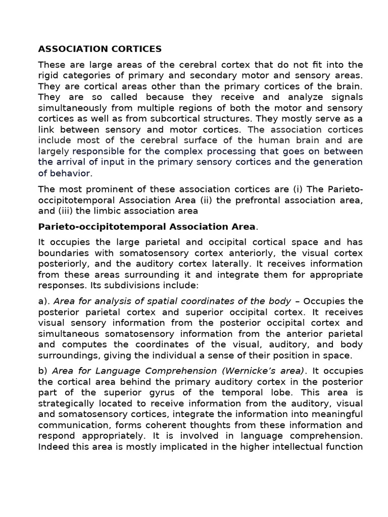 Association Cortices -Notes | PDF | Cerebral Cortex | Parietal Lobe