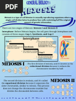 Meiosis and Mitosis Comparison Chart | PDF