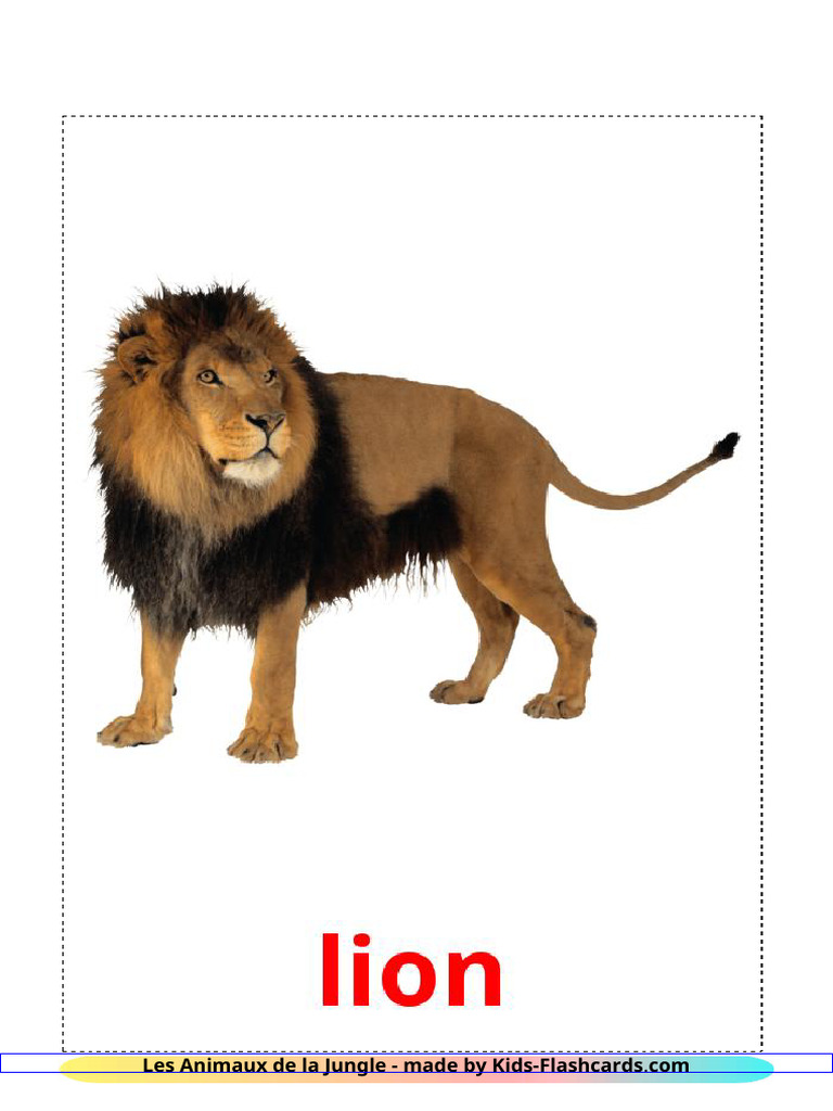 Les Animaux de La Jungle 1 A4 | PDF