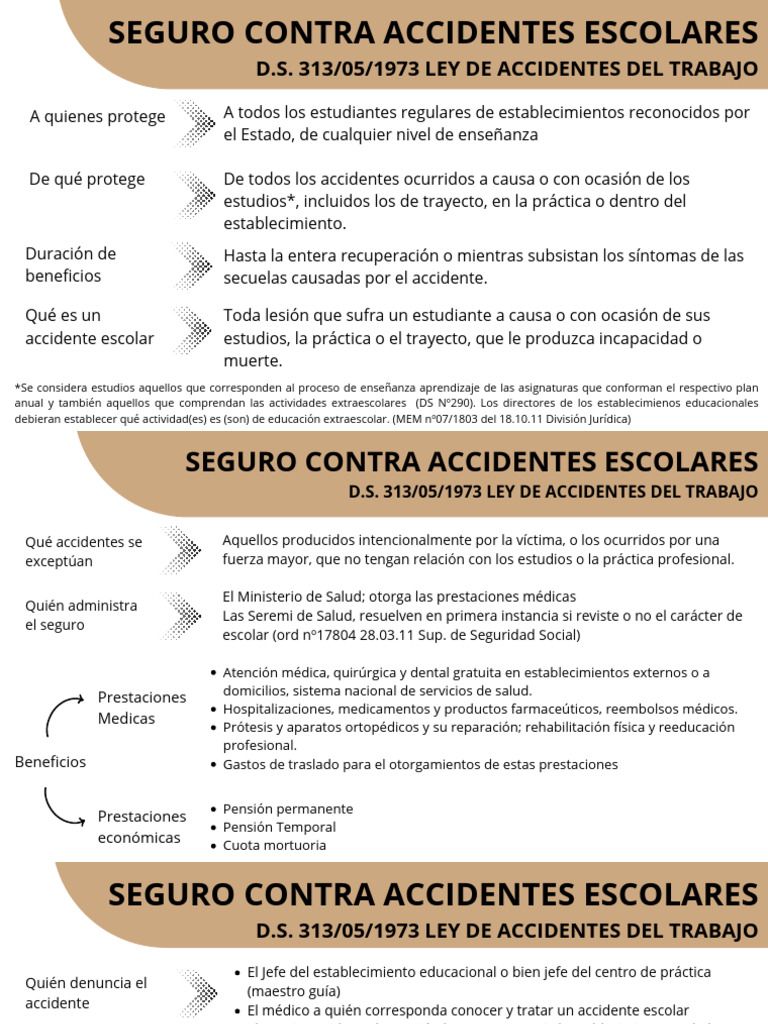 Seguro Escolar | PDF