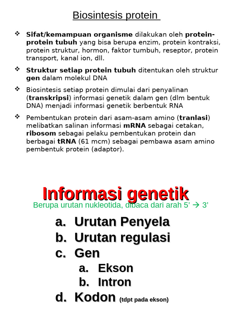Proses Biosintesis Protein dan Transkripsi | PDF